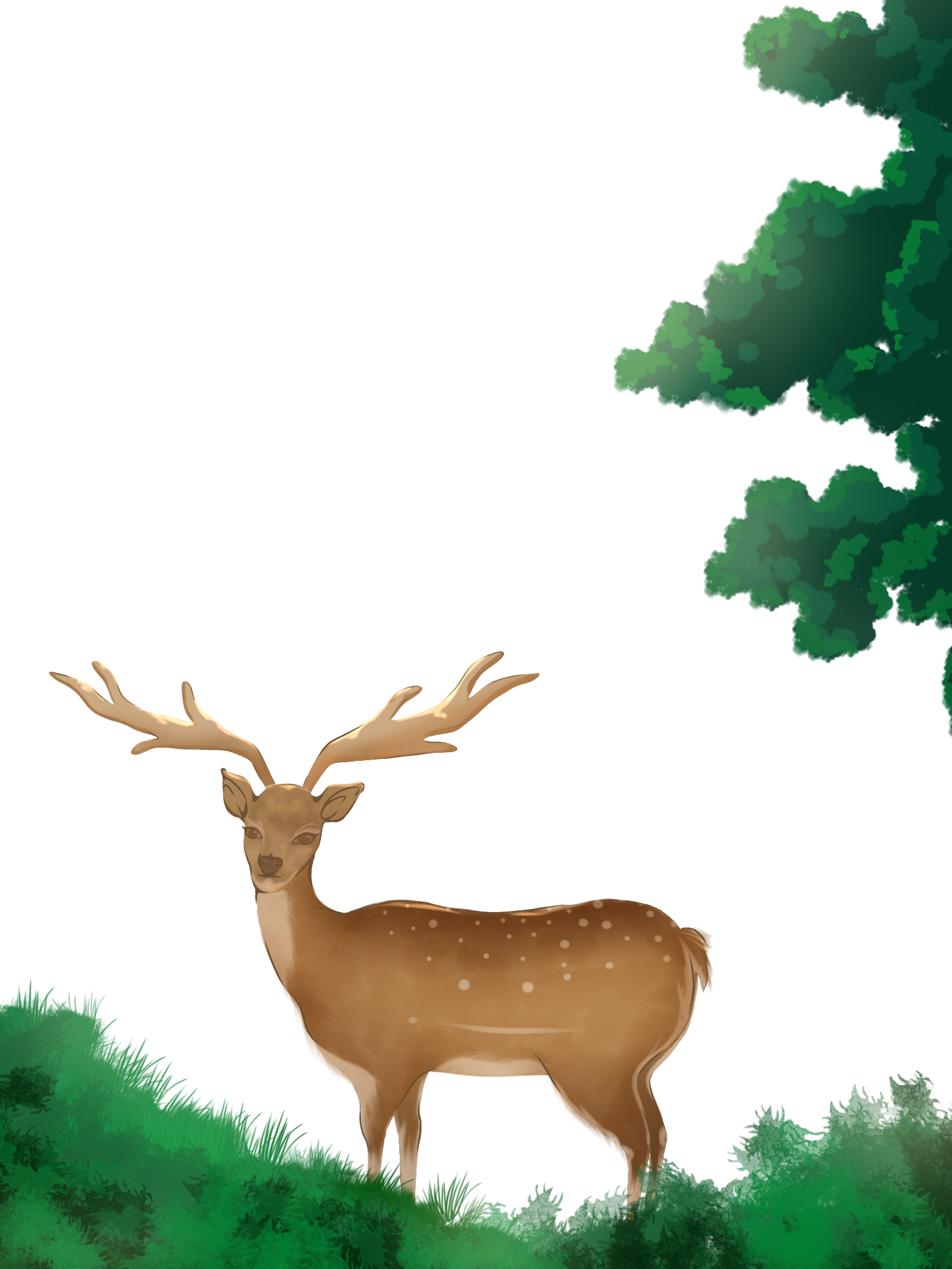 Deer - ibisPaint