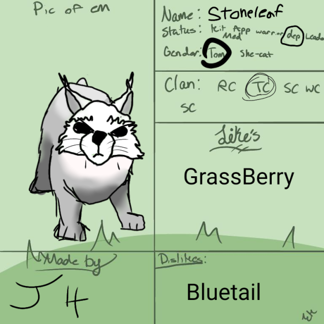 StoneLeaf Oc For Comic - ibisPaint