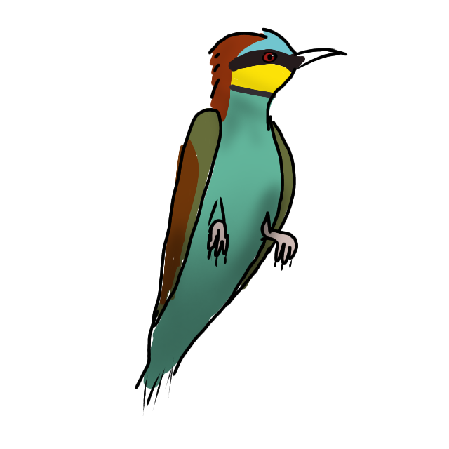 🐦 bird - ibisPaint