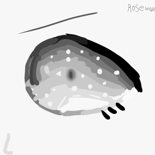 grayscale eye - ibisPaint