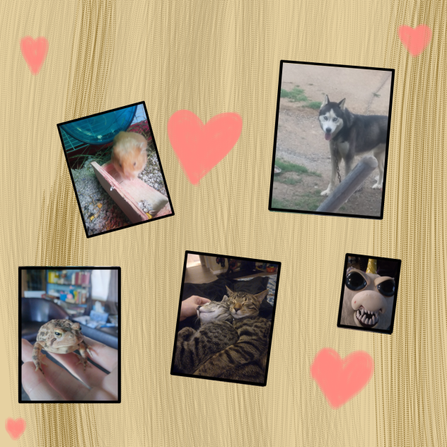 some of my pets - ibisPaint