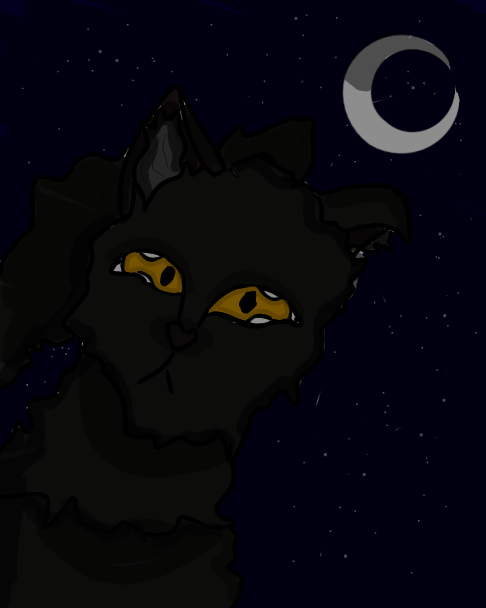 um gato escuro diante a luz da lua 🌙 - ibisPaint