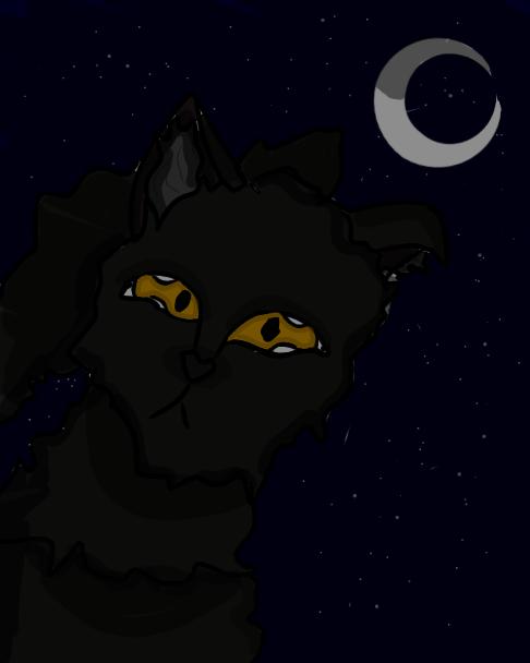 um gato escuro diante a luz da lua 🌙 - ibisPaint