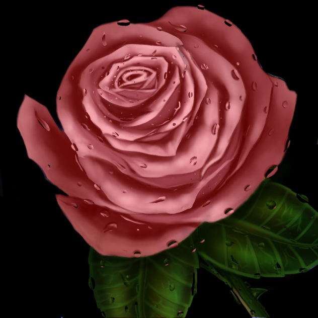 flaming rose 2 - ibisPaint