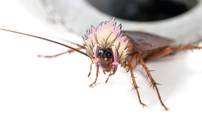 just cockroach Shidou - ibisPaint