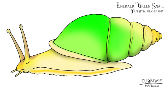 Emerald Green Snail - ibisPaint