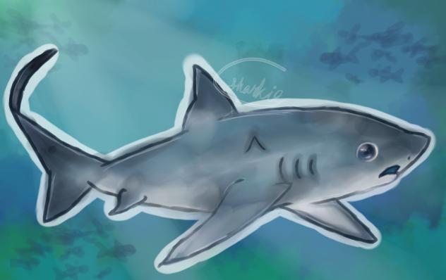 Thresher Shark °^° - ibisPaint