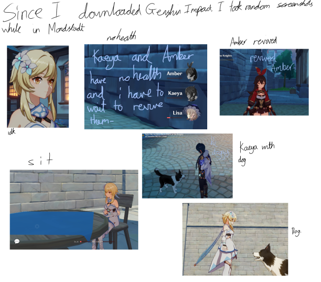 Random Genshin pics I took - ibisPaint