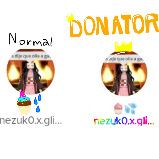 Normal - Donator - ibisPaint