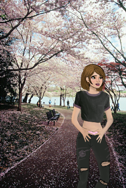 Cherry Blossom - ibisPaint