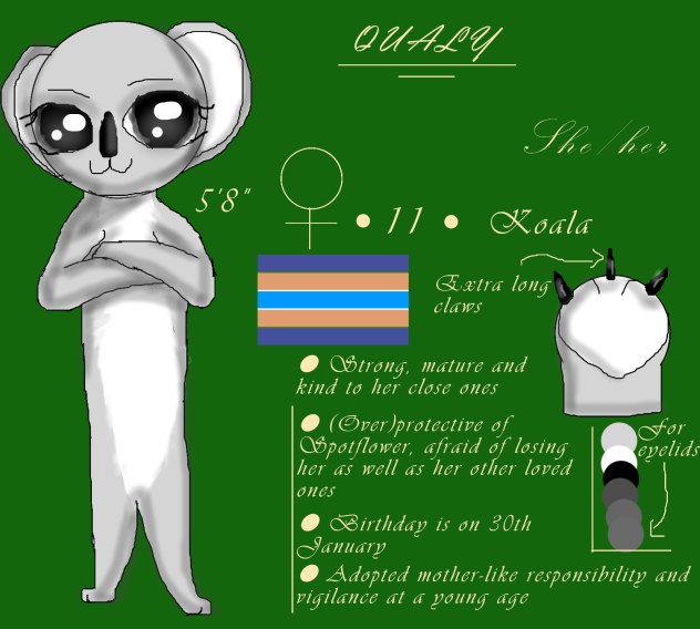 Qualy ref - ibisPaint