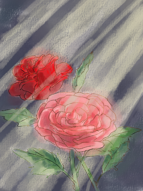 Flowers - ibisPaint