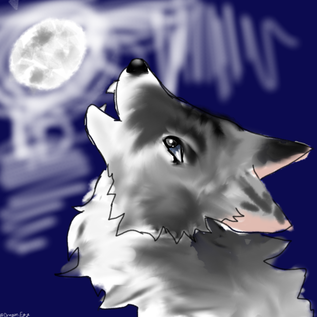 🐾wolf🐾 - ibisPaint