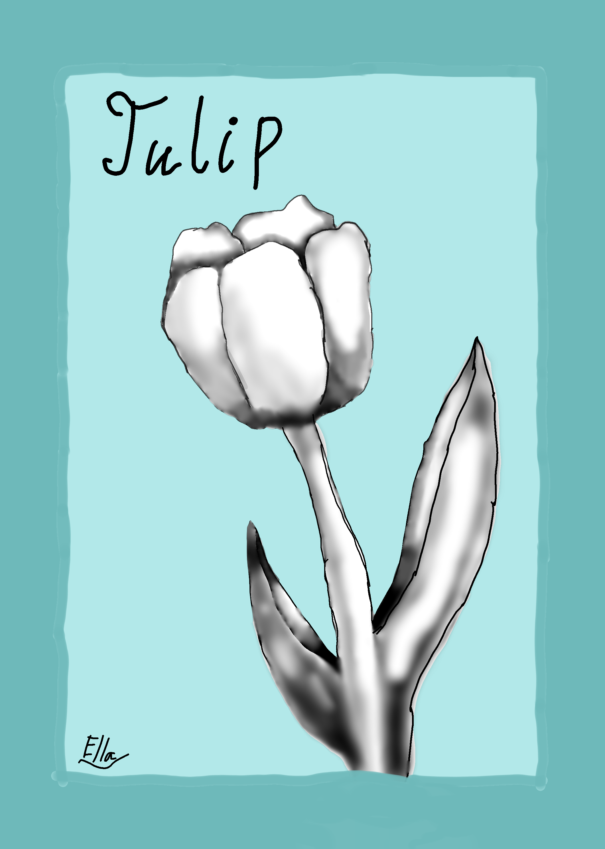 Tulip - ibisPaint