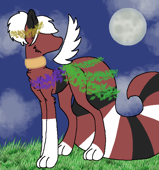 OC Speedpaint - wolf hybrid¿ - ibisPaint