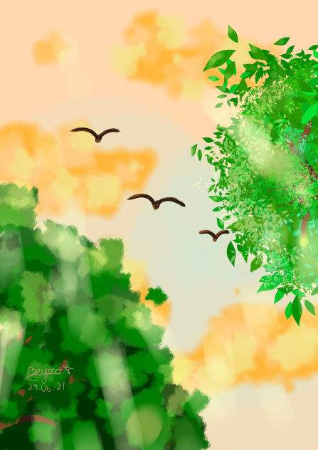 sunset with trees in the forest - ibisPaint