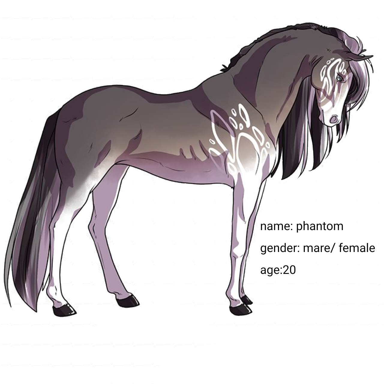 my OTHER dream horse - ibisPaint