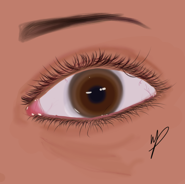 Brown eye - ibisPaint