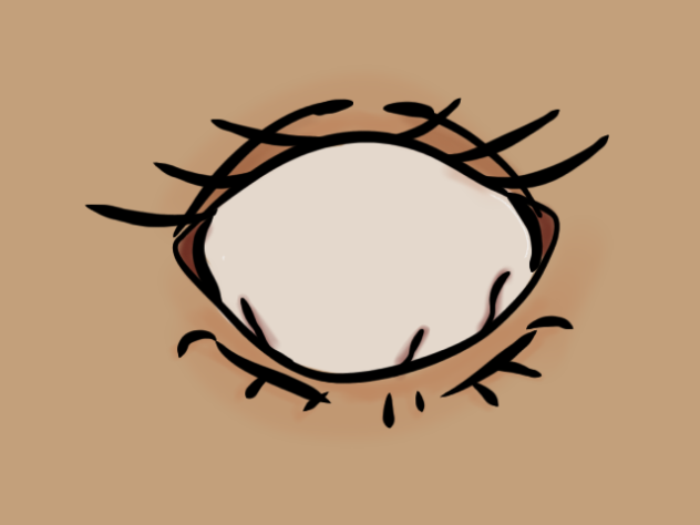 Eye animation - ibisPaint