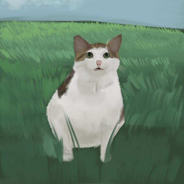 Uncle bao cat drawing - ibisPaint