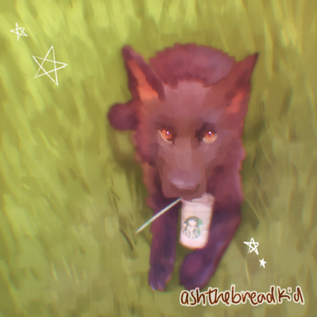 ☆sirius☆ - ibisPaint