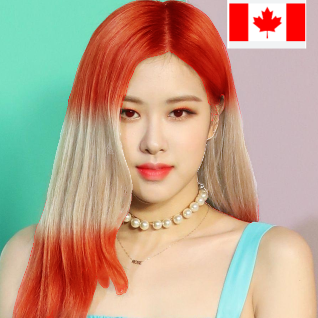 rose as canada flag - ibisPaint