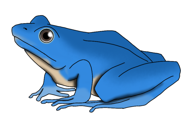Moor Frog blue render - ibisPaint