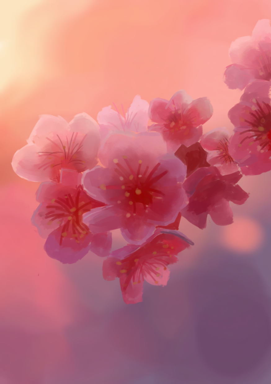 cherry blossom 🌸🌸 - ibisPaint