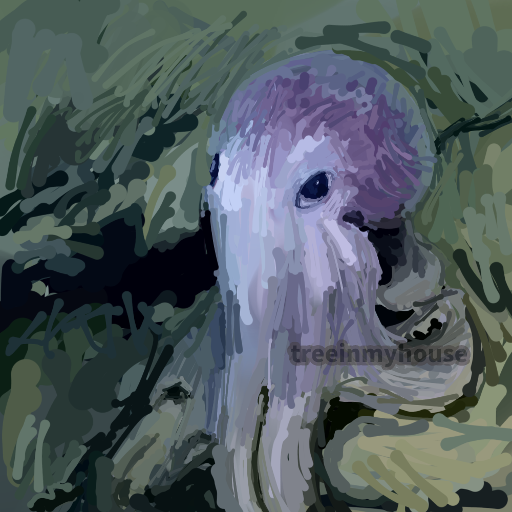 woomy🐙🐙 - ibisPaint