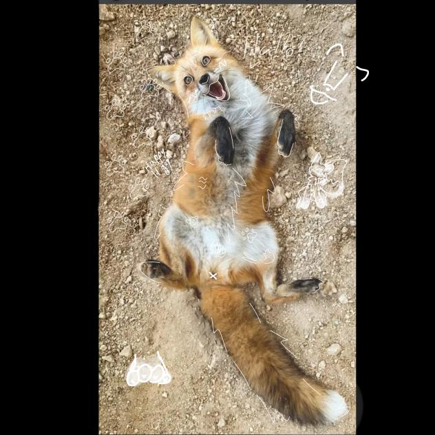 My theriotype - Fox - ibisPaint