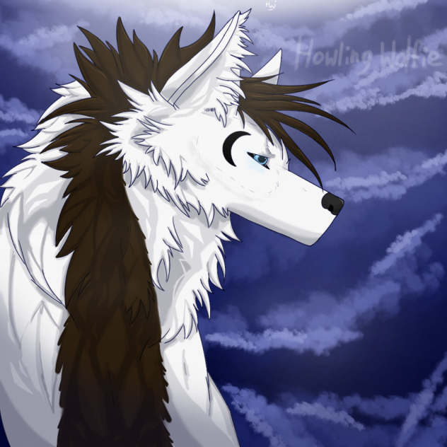 First appearance - ibisPaint