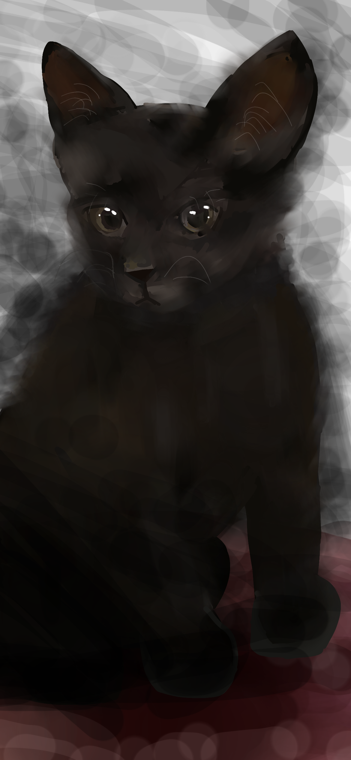 neo as a kitten - ibisPaint