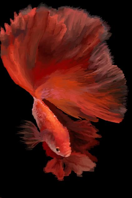 red from the flower of death - ibisPaint