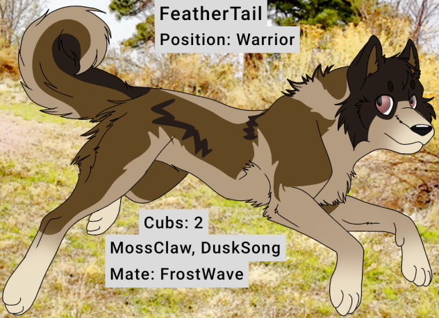 FeatherTail - ibisPaint