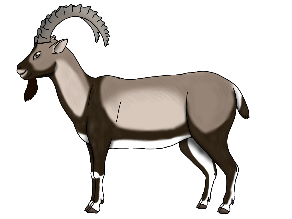 Wild Goat (2023) render - ibisPaint