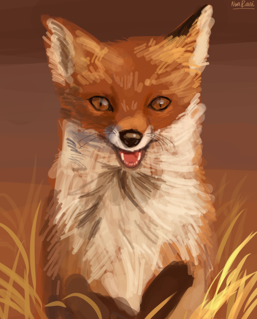 Fox - ibisPaint