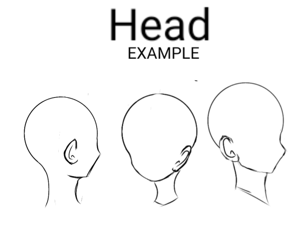 Head Example - ibisPaint