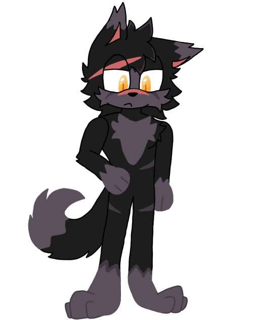 Raven (Sonic oc!) - ibisPaint