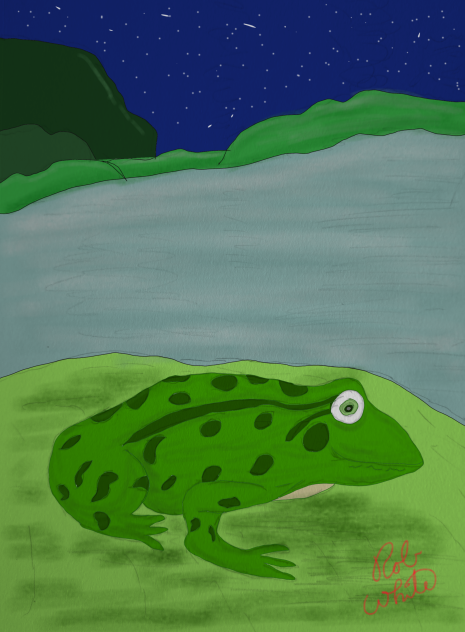 Froggy - ibisPaint
