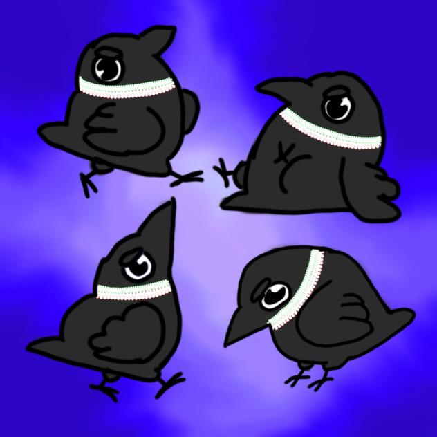 CROWS - ibisPaint