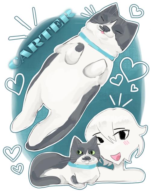 Carter🐱 - ibisPaint