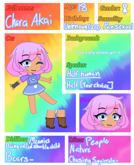 CS for Selfies! - ibisPaint