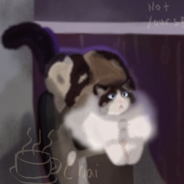 🐈rag doll cat - ibisPaint