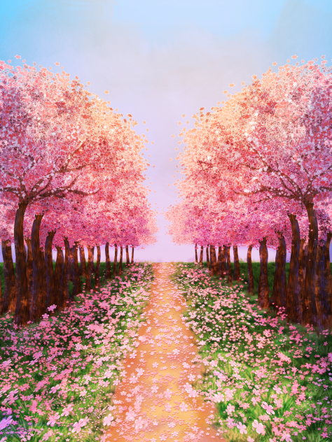 cherry trees (morning) - ibisPaint