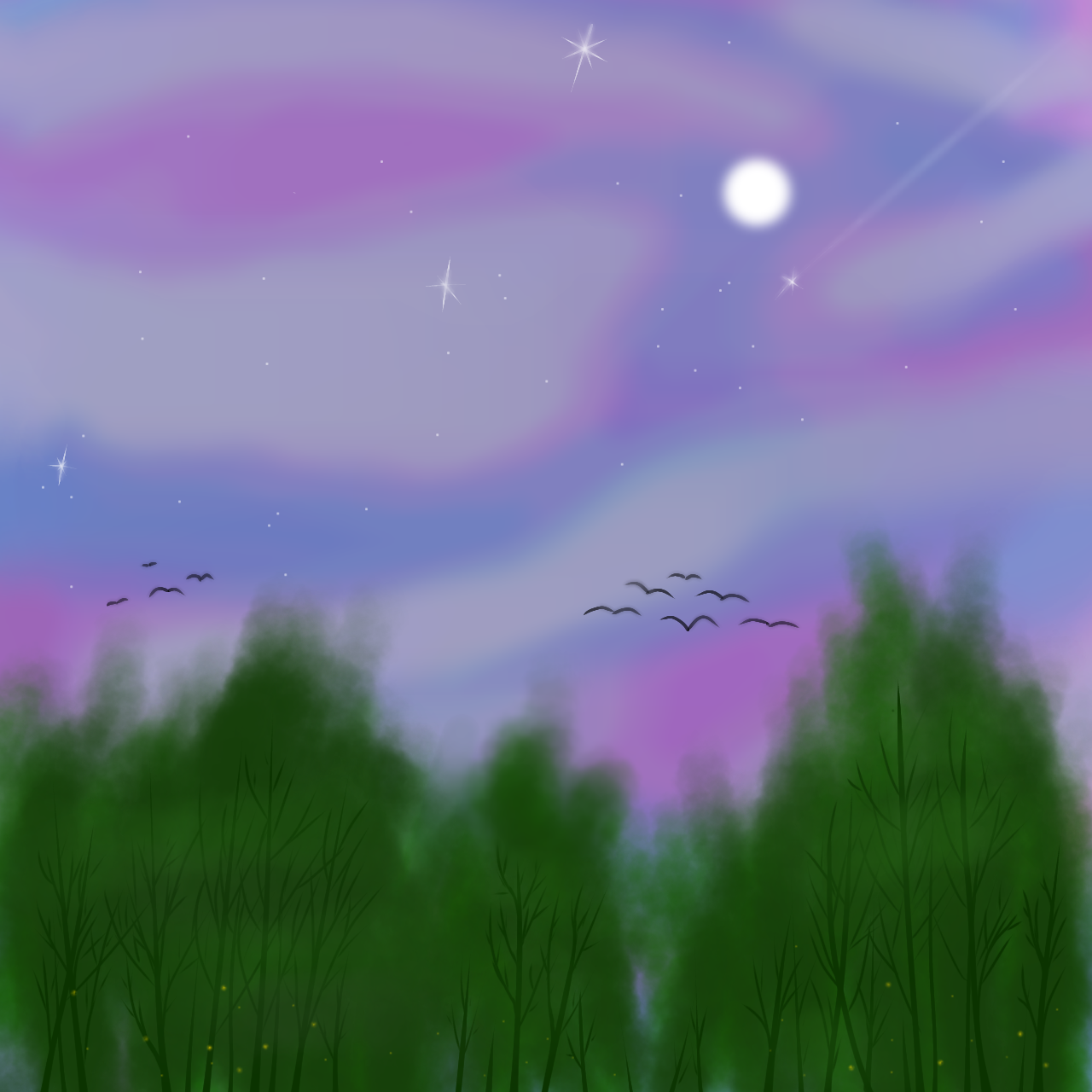 aurora night sky - ibisPaint