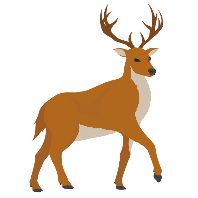 Reindeer - ibisPaint