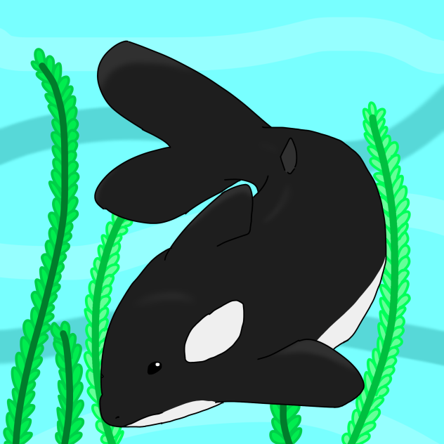 Orca in Alaska - ibisPaint