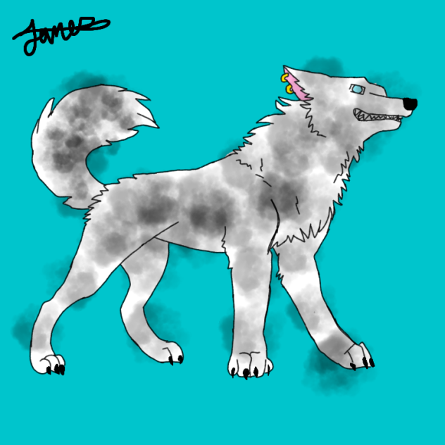 Lilly Stark Wolf - ibisPaint