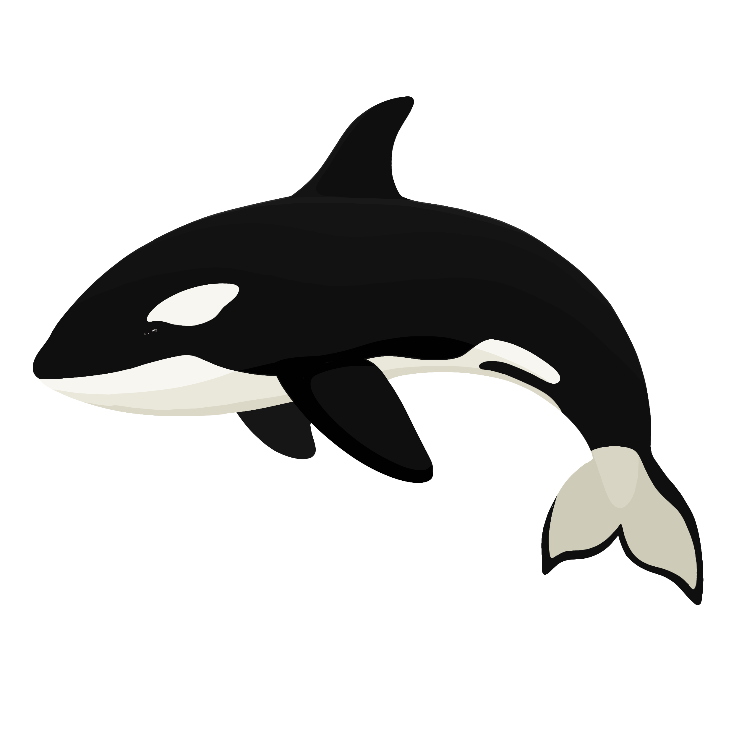 Orca Whale - ibisPaint