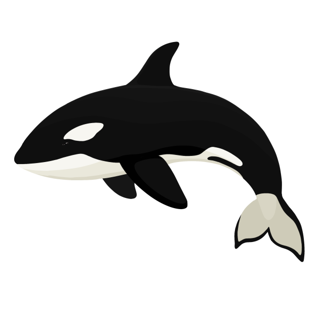 Orca Whale - ibisPaint